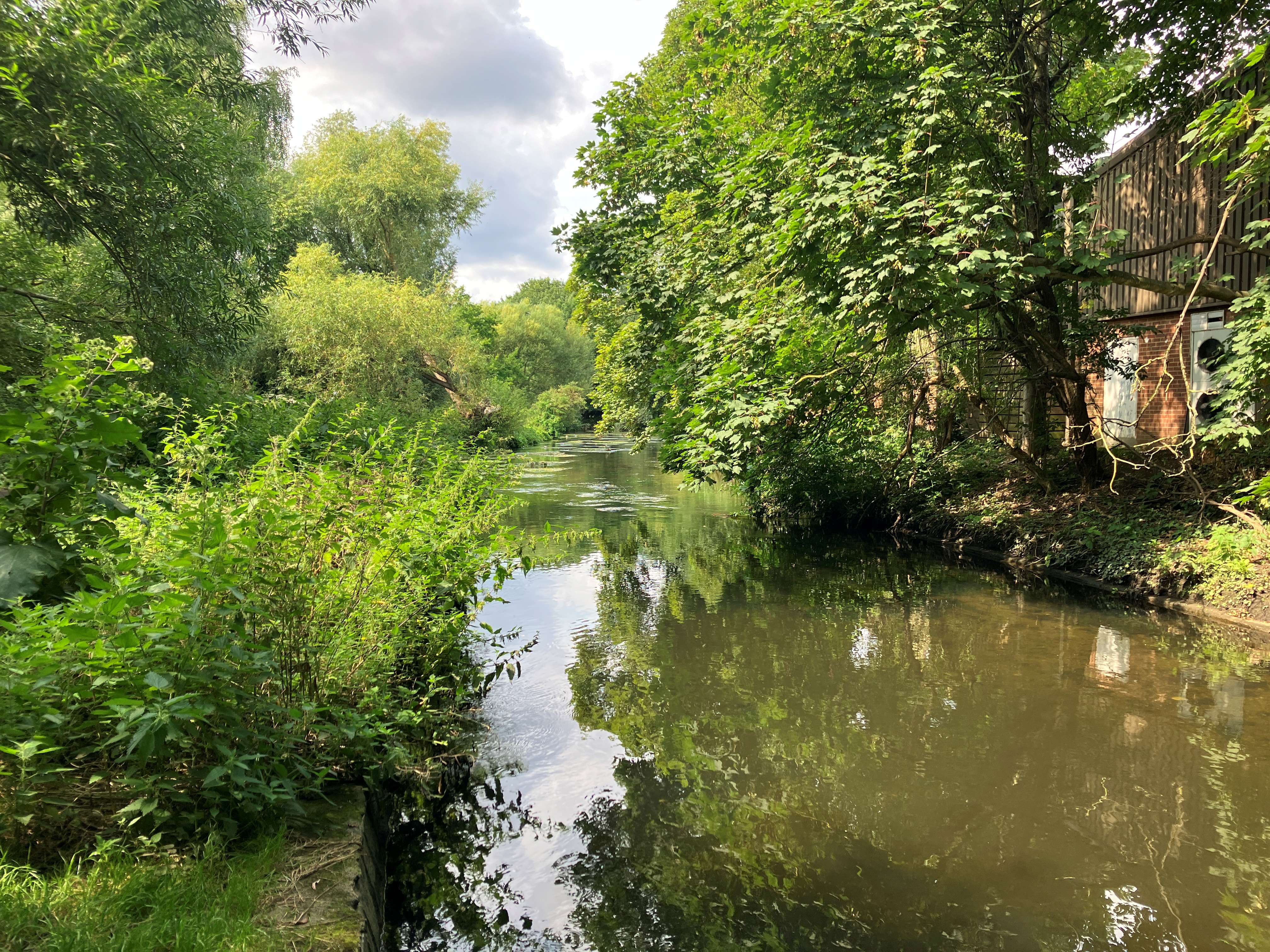 A River Condition Assessment Provides True Baseline for Monitoring of ...